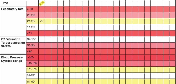 Patient-Observation-Chart-Respiratory-Rate-_Page_1 - City Gate Training ...